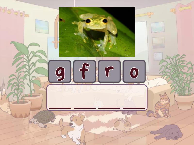 Elephant and Piggie- I'm a frog - Anagram