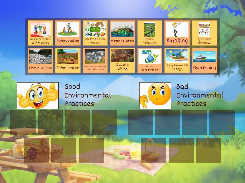 Protecting Our Environment - Group sort