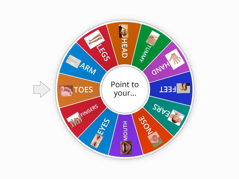K1 - ALL BODY PARTS WHEEL - Spin the wheel