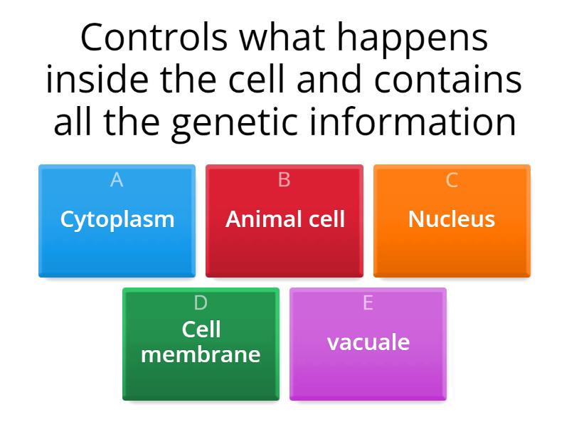 How do cells work? - Cuestionario