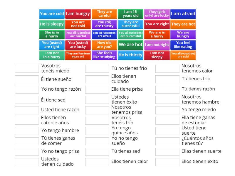 Expresiones con TENER - Match up