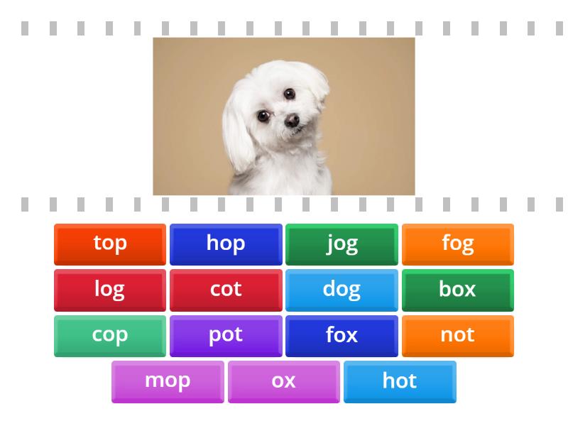 Sounds great 2 lesson 6 - Find the match