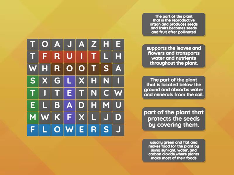 QUIZ - Wordsearch
