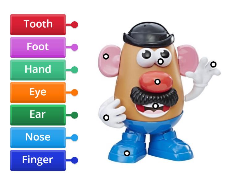 BK - Body Parts - Labelled diagram
