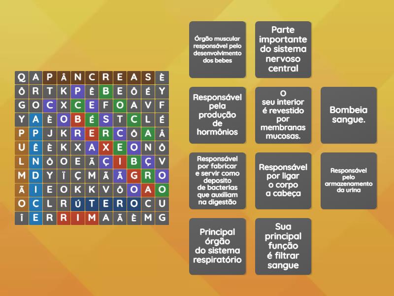 Partes Do Corpo Humano - Wordsearch