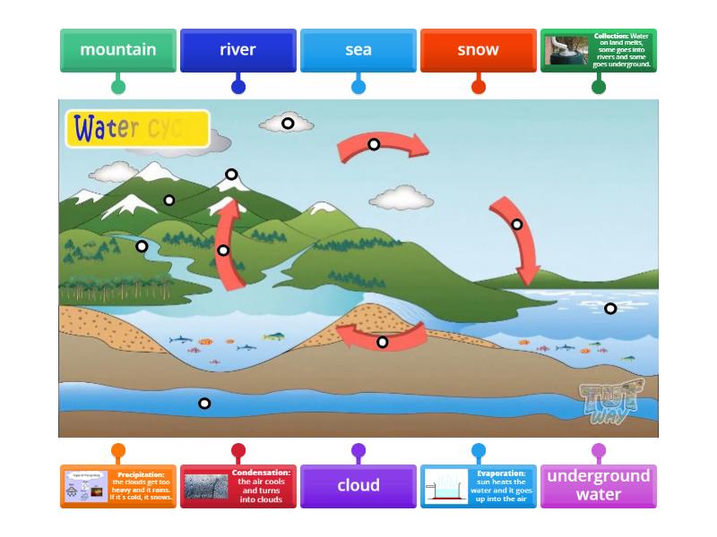 AS4 Unit 9: Water Cycle Diagram - Imagem com legenda