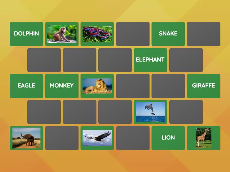 WILD ANIMALS_MEMORY (terza) - Matching pairs