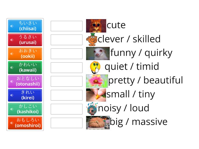 Drag and Drop: Adjectives for Describing Pets - Match up