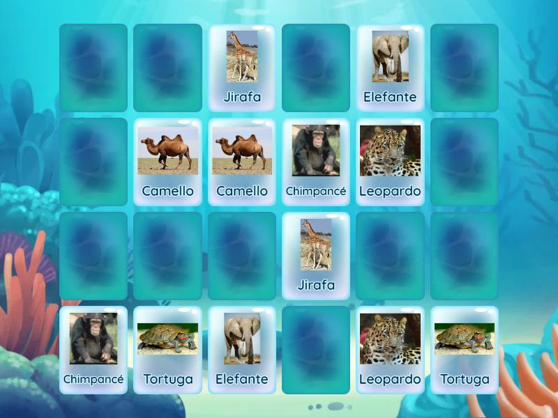 Animales cognates - Matching pairs