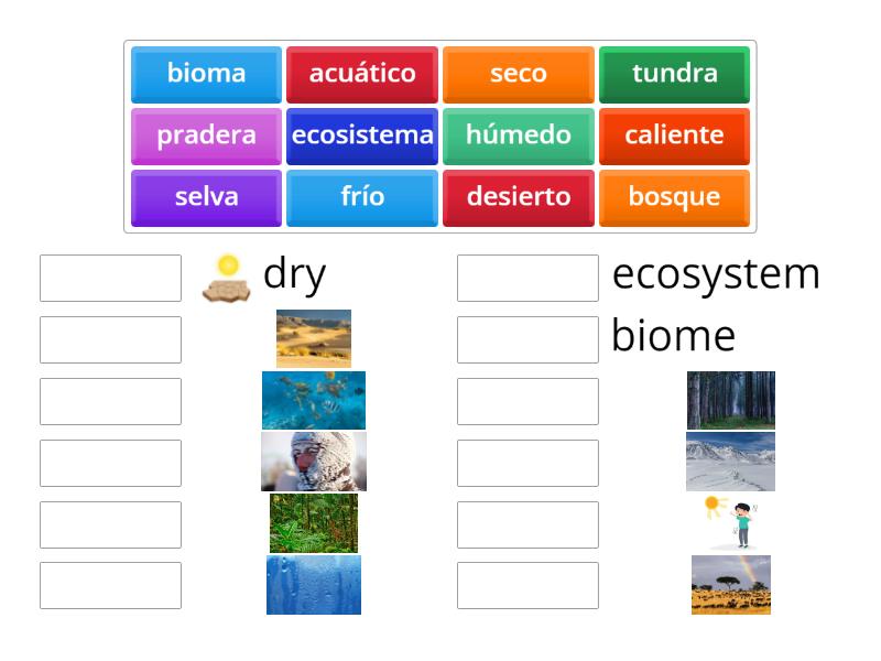Ecosistemas y Biomas - Match up