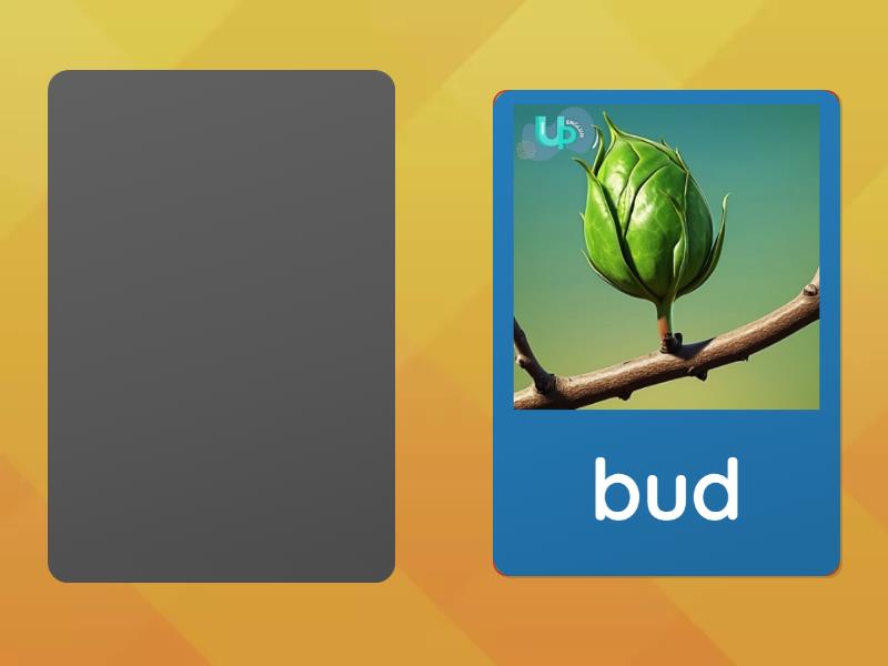 01 Oxford Phonics World 2 Unit 7 ud, up UpEnglish bud, mud, pup, cup ...