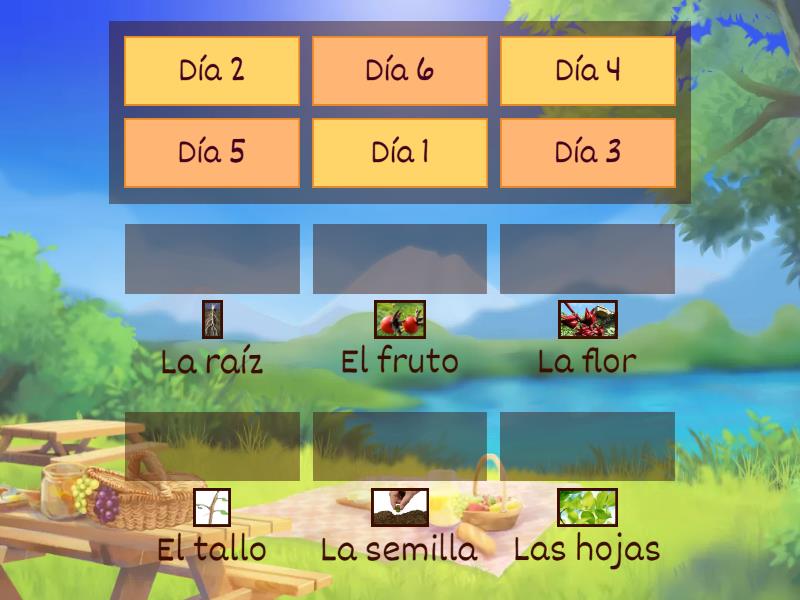 El ciclo de vida de las plantas - Match up