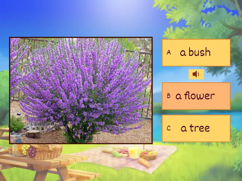 EF Int plus The country U 5B - Quiz