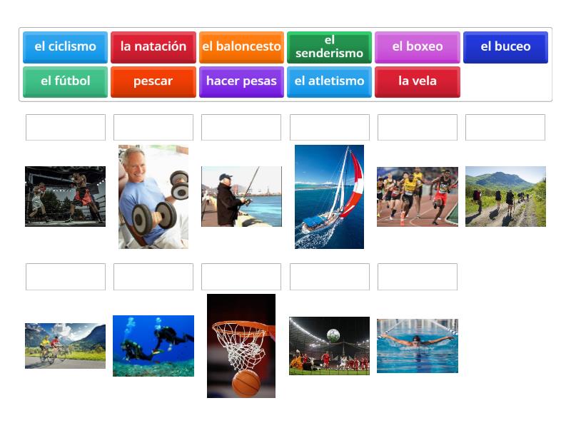 Los deportes - Match up