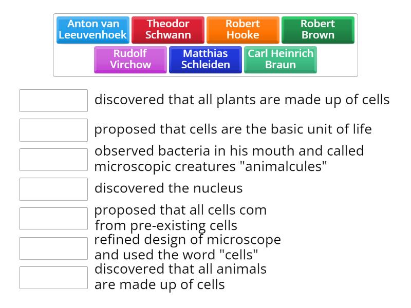 History of Cell Theory - Match up