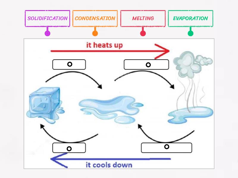 CHANGE OF STATE - Labelled diagram
