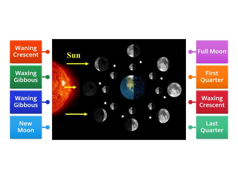 8 Sci - Phases of the Moon - Southern Hemisphere - Labelled diagram