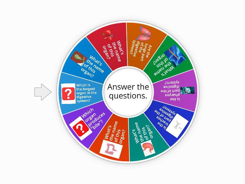 Exit Ticket: Digestive System - Spin the wheel