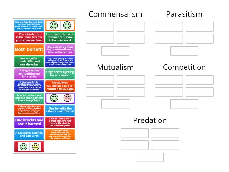 Symbiotic Relationships - Group sort