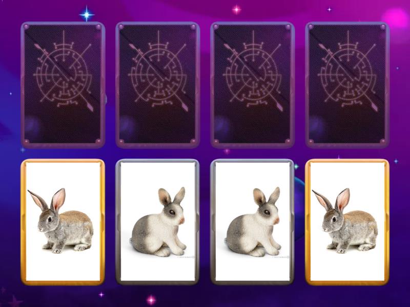 ACHE O COELHO - Matching pairs