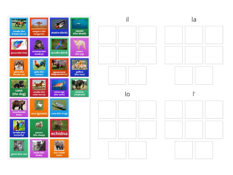 Definite Article Match Up - Group sort
