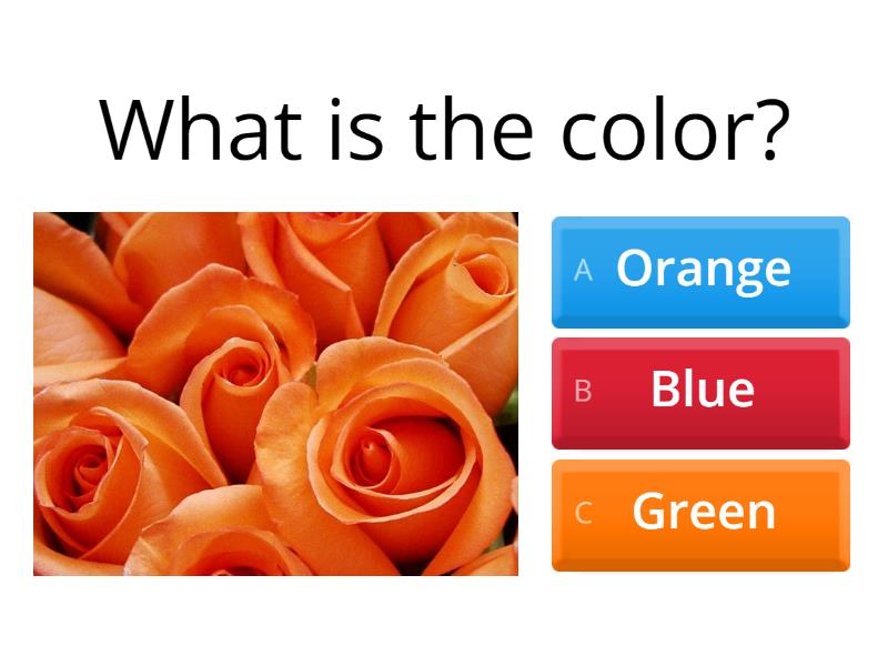 What is the color? - Quiz