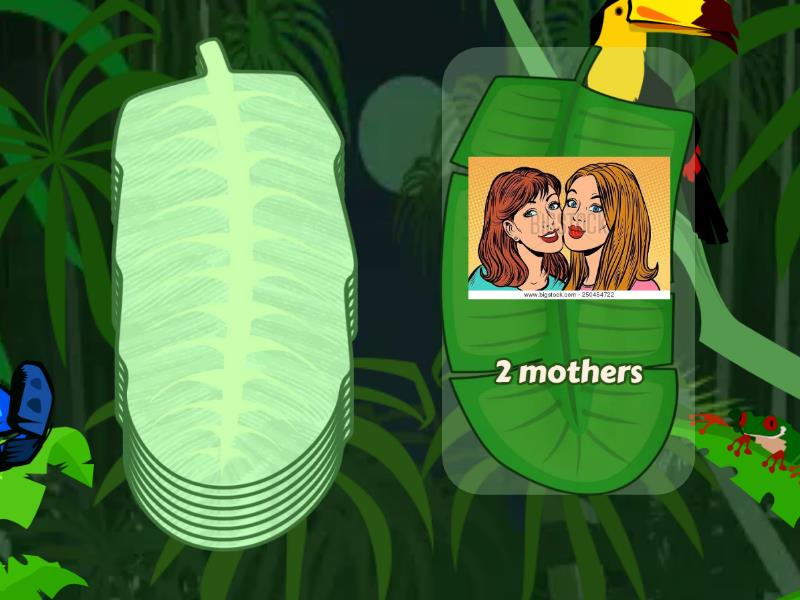 Counting family members - Random cards