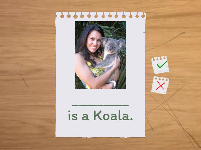 Demonstrative pronouns - Flash cards