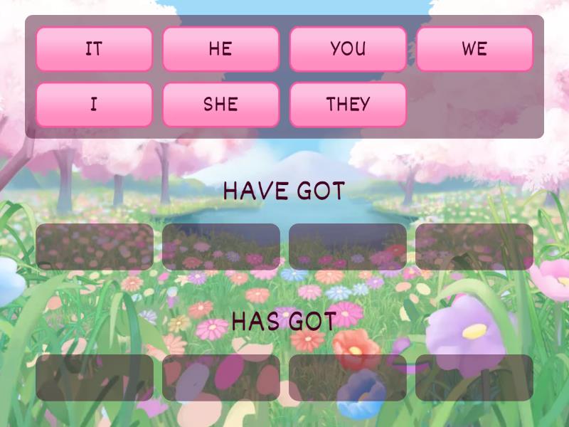 Have got/Has got - Group sort