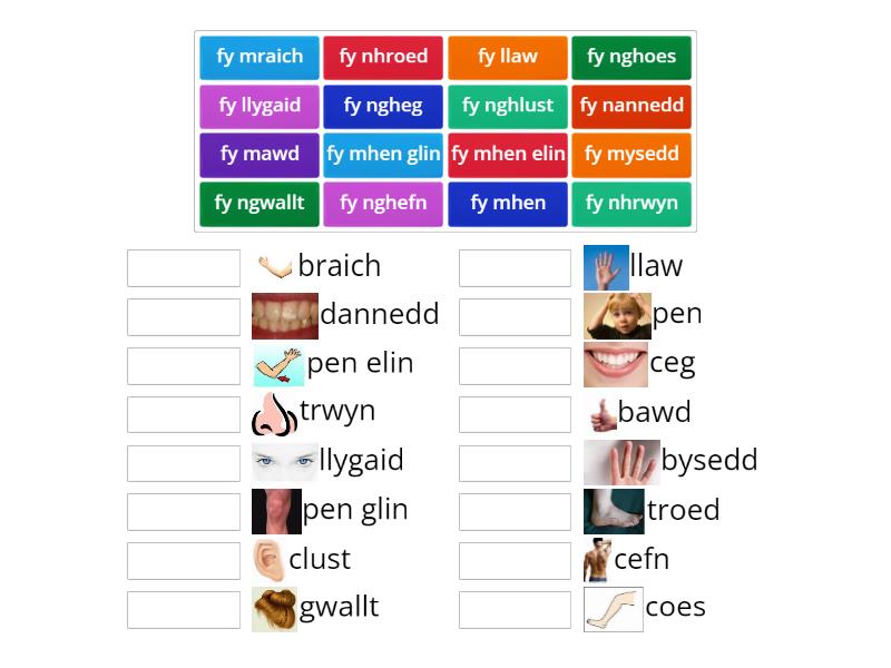 Y Corff - Treiglo Fy - Match up