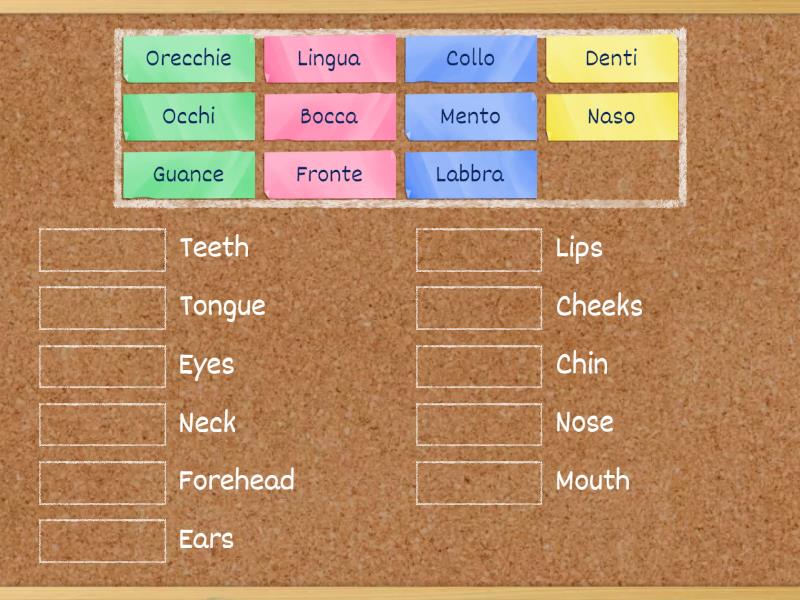 Parti del Viso - Match up