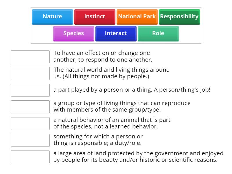 Into the Wild Introduction - Match up