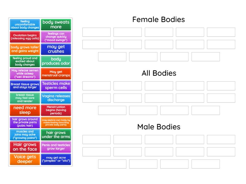 Puberty Talk AAA "Changes, Changes, Changes" - Group sort