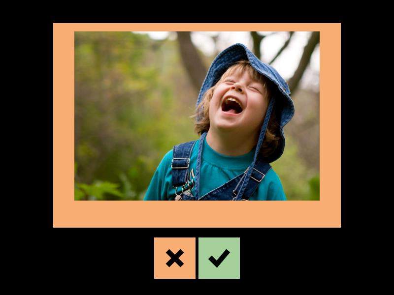 5B Look Out - Flash cards