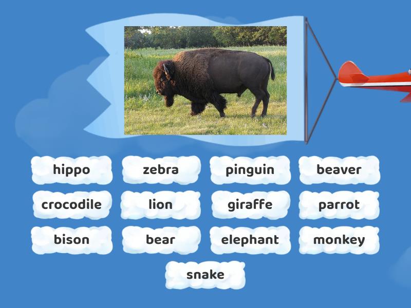 Smart junior 2 unit 5 - Find the match