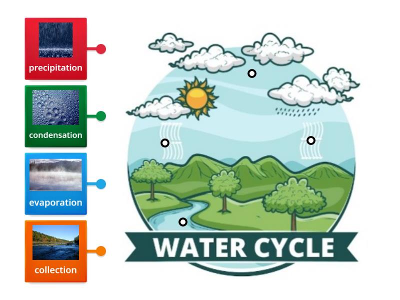 Water Cycle Labelled Diagram - Diagrama con etiquetas