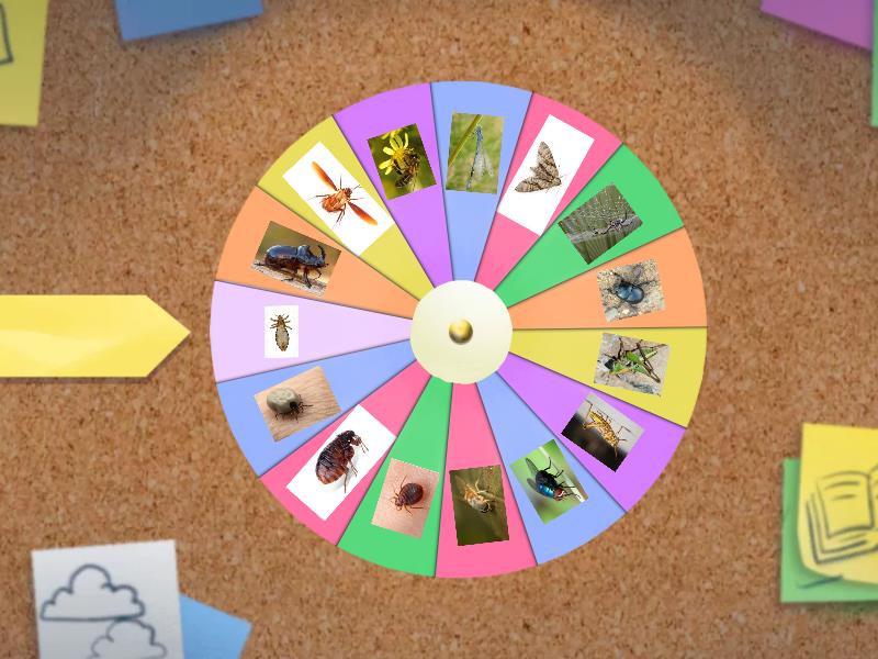 La ruleta de los insectos - Rueda aleatoria