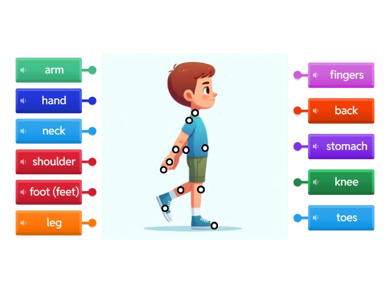 Fit and healthy. Body parts. PP3 - Labelled diagram