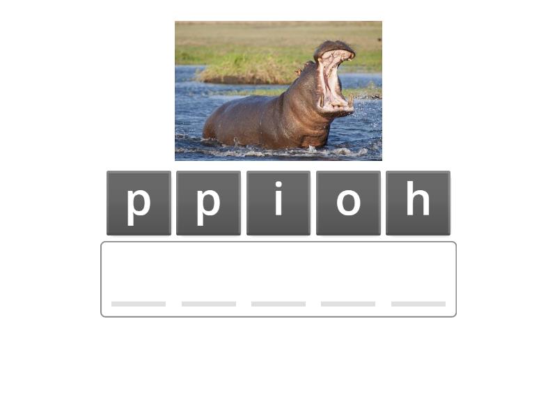 Spotlight 5 class Module 5 Wild Animals - Anagram