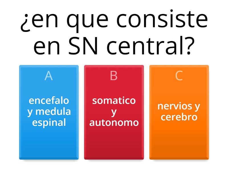 embriologia del sistema nervioso - Cuestionario