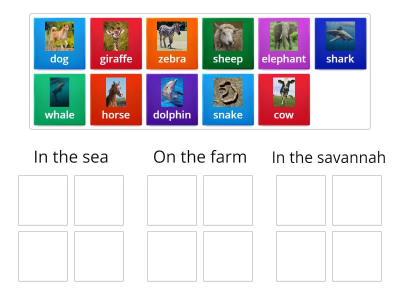 SMS unit 6 categorizing animals - Group sort