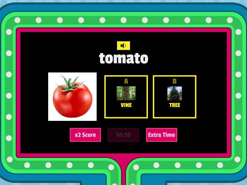 TREE VS VINE QUIZ SHOW - Gameshow quiz