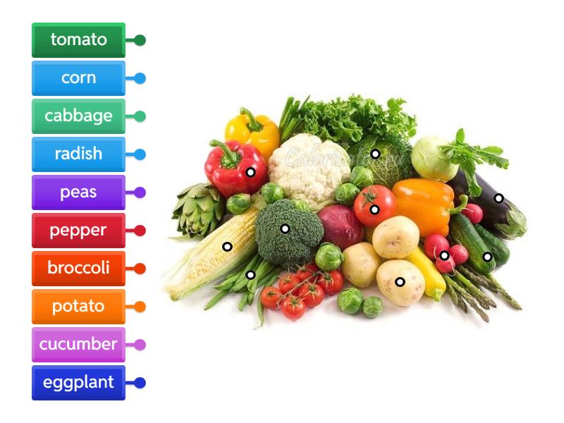 Vegetables - Labelled diagram