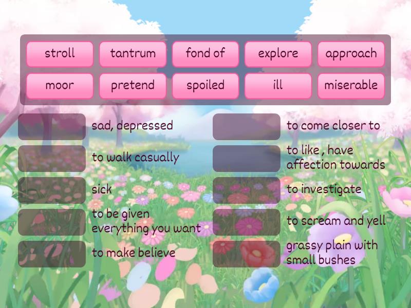 Secret Garden Vocabulary definitions quiz - Match up