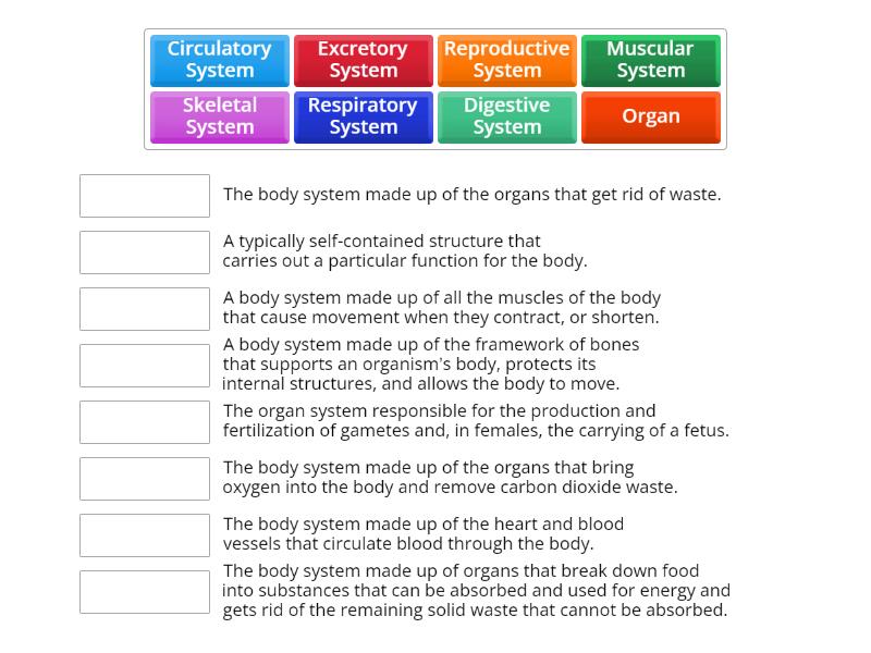 Interacting Body Systems - Match up