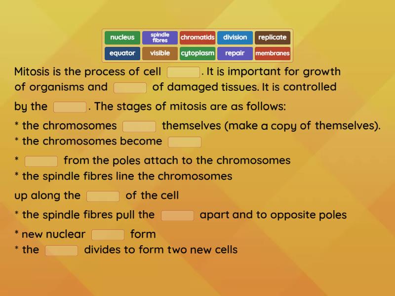 S3 BGE 3.1 Mitosis Missing Word Summary - Complete the sentence