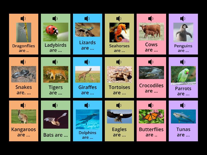 variety of animals (grade 2) - Fichas giratorias