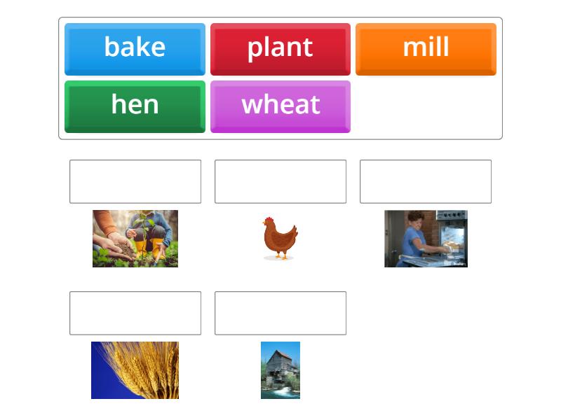 Year 2 EAL Matching Game - Match up