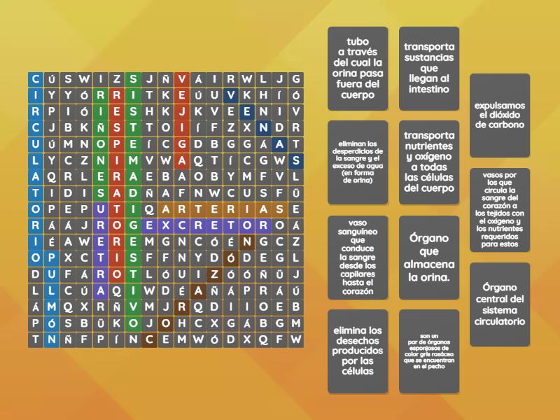 Sistemas del cuerpo humano - Sopa de letras