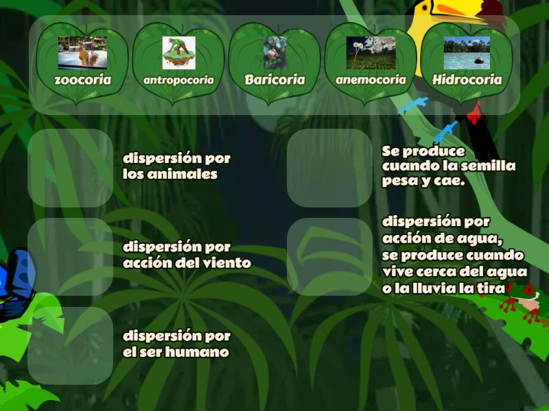 Dispersión de las semillas. - Match up